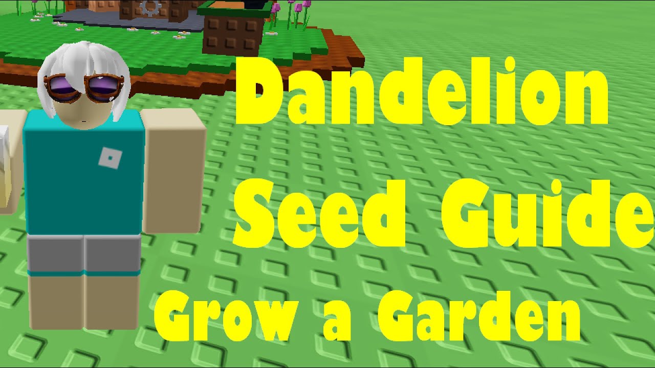 How to Get The DANDELION SEED (SHOWCASE) in Grow a Garden! Roblox - YouTube