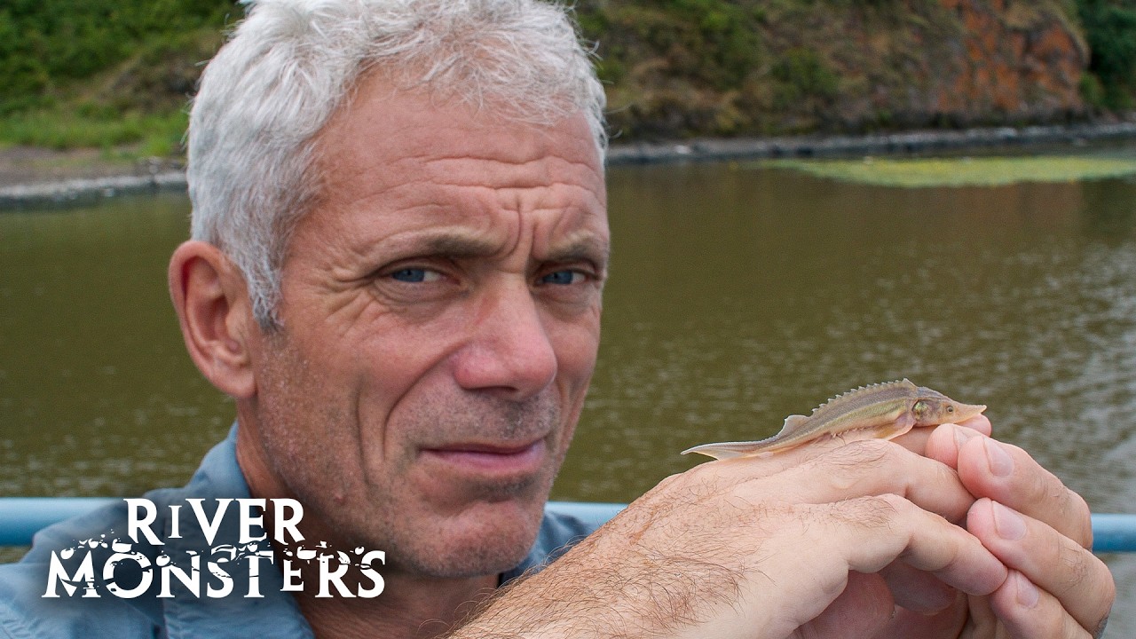 River Monsters Full Episode - Season 4, Episode 2 - Russian Killer ...