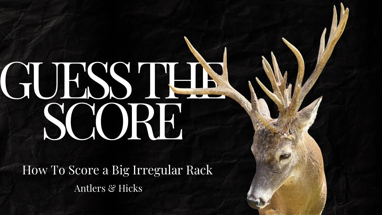 Can You Guess the Score? How I Tape a HUGE Irregular Rack - YouTube