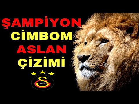 Şampiyon Galatasaray Aslan Çizimi Nasıl Yapılır | 2025 Şampiyon Cimbom ...