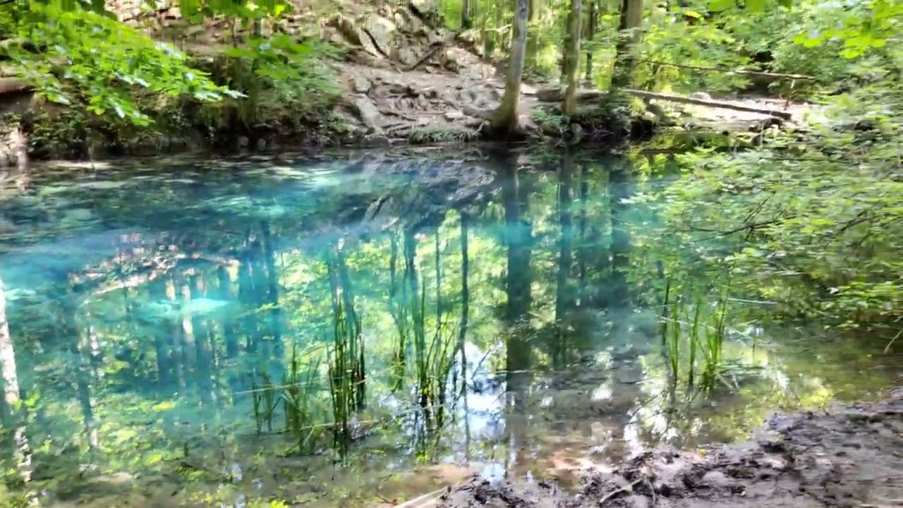 Xiaomi 12X 4k@60fps video test sample 1