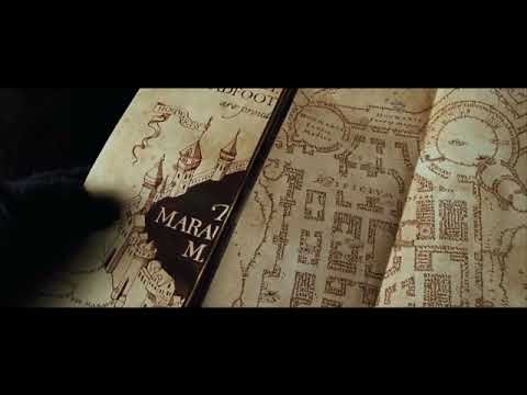 Newt Scamander In The Marauders Map?! - YouTube