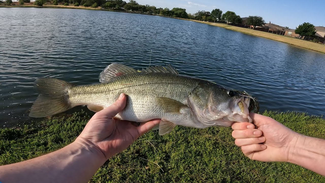 Denton, TX Pond Fishing!! - YouTube