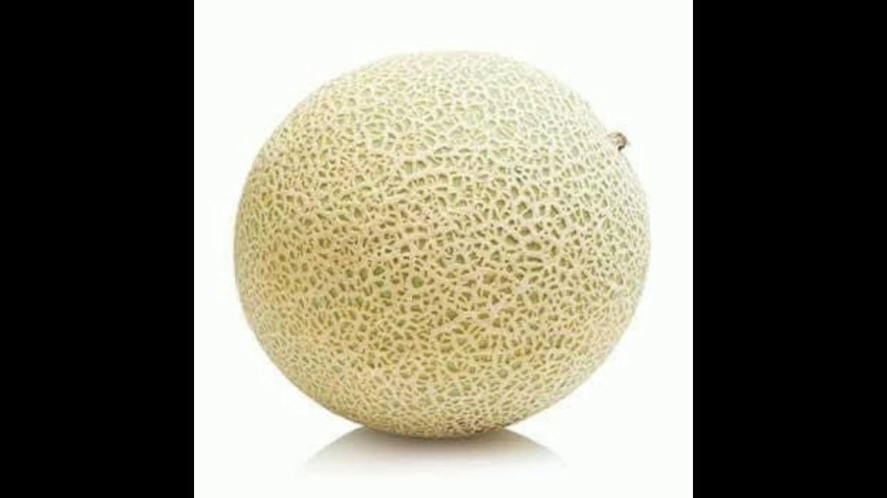 Melon - YouTube