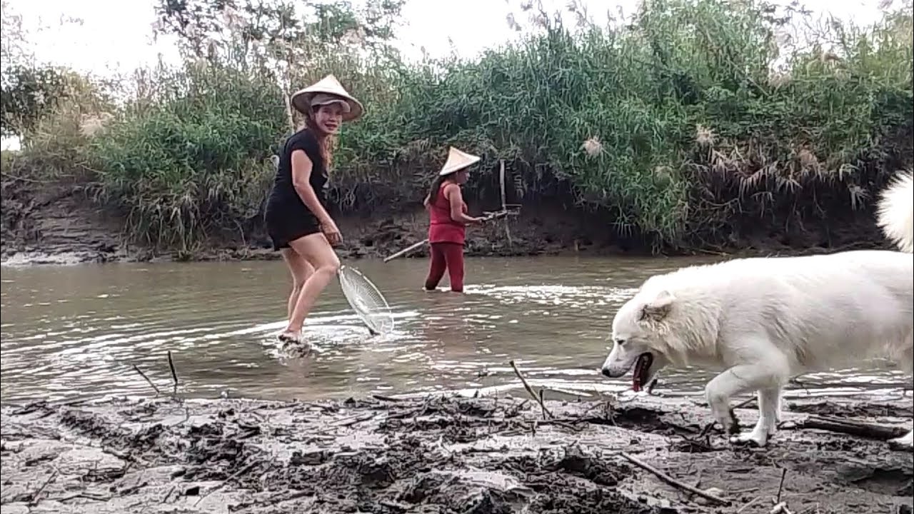 Kumuha kami ng mga Clams at Mussel shell sa ilog - YouTube