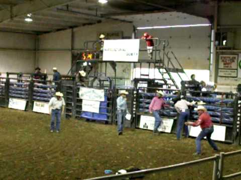 Keegan Delburne Rodeo Mutton Bustin - YouTube