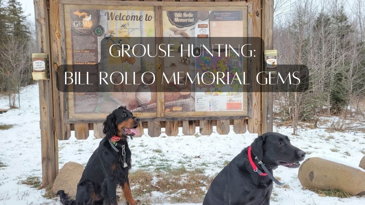 Grouse Hunting: Bill Rollo Memorial GEMS - YouTube