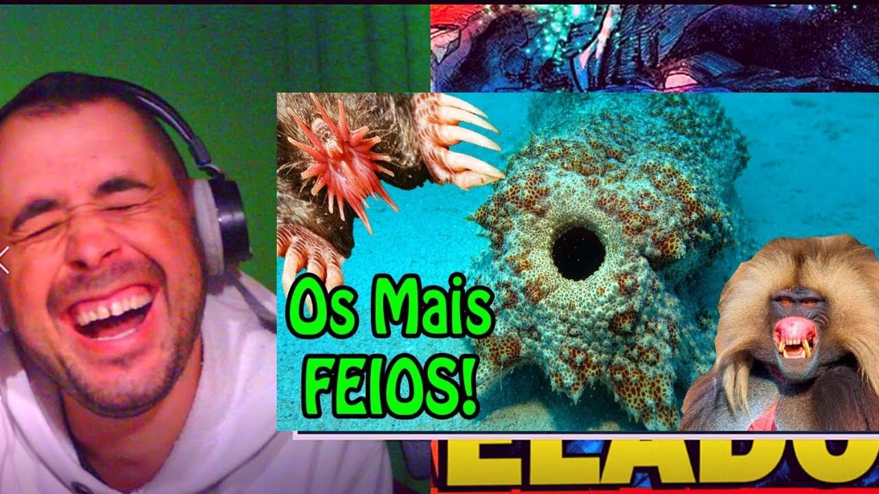 REAGINDO: 🔴 Os Bichos mais Estranhos e Bizarros do Mundo! Só Bicho FEIO ...