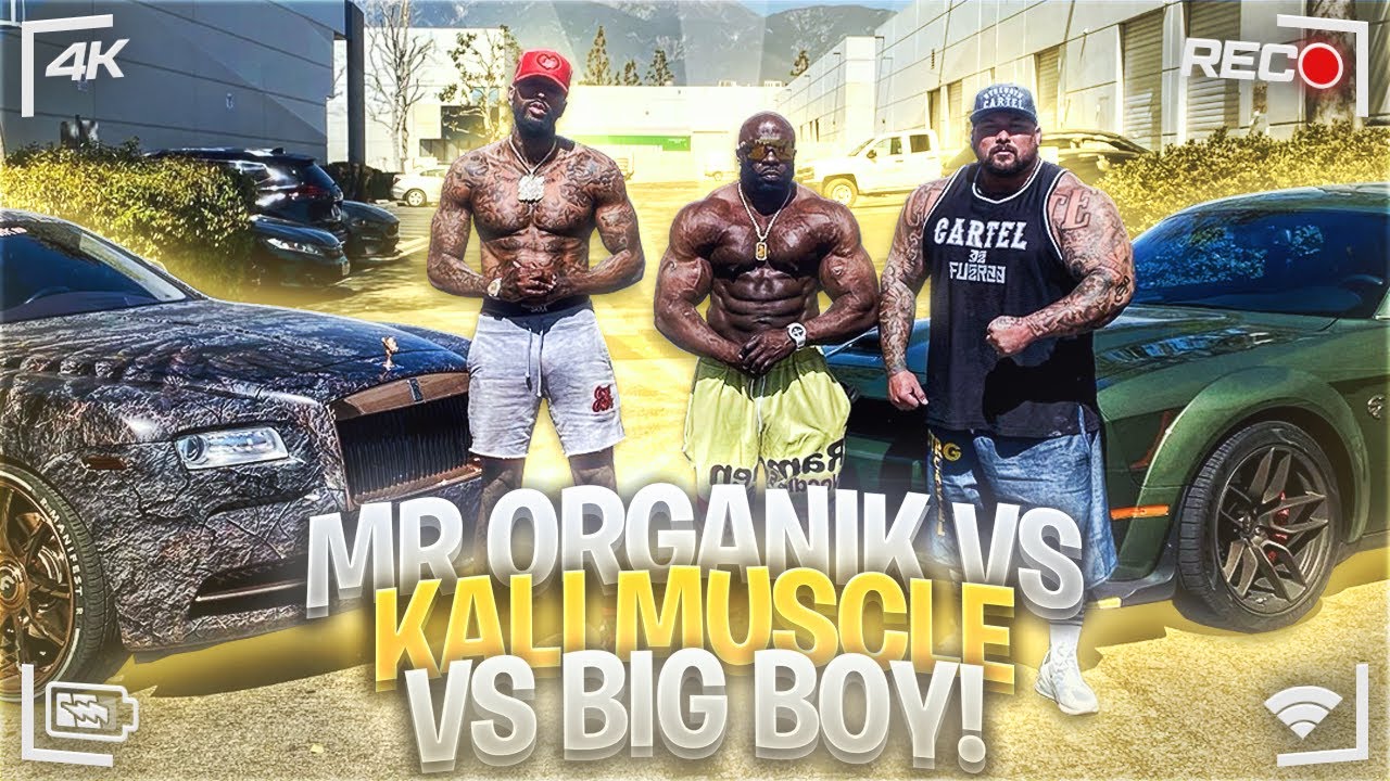 YOUTUBER BOXING MATCH?? @Kali Muscle @Big Boy - YouTube