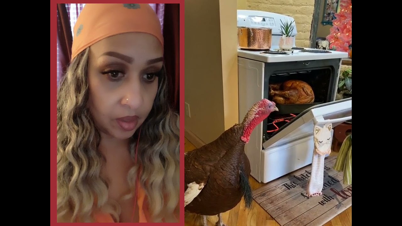 Reaction: Turkey Sees Turkey in Oven? - YouTube