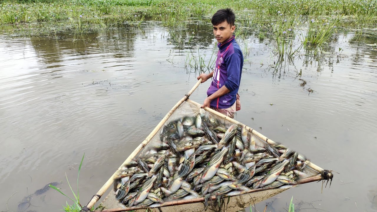The little boy caught so many fish with net | Net Fishing | lake net ...