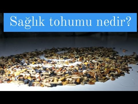 Kuşlarda Sağlık tohumu'nun önemi?