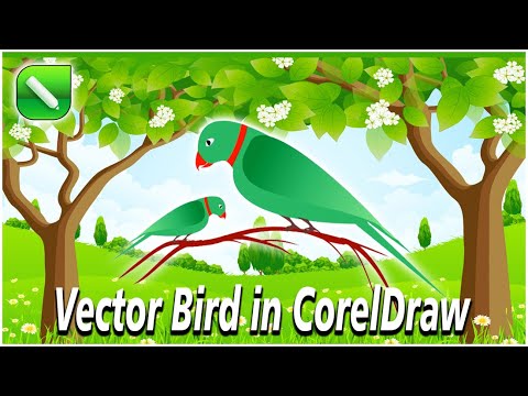 🦜Vector Art (parrot create with Bezier tool) in CorelDraw. - YouTube