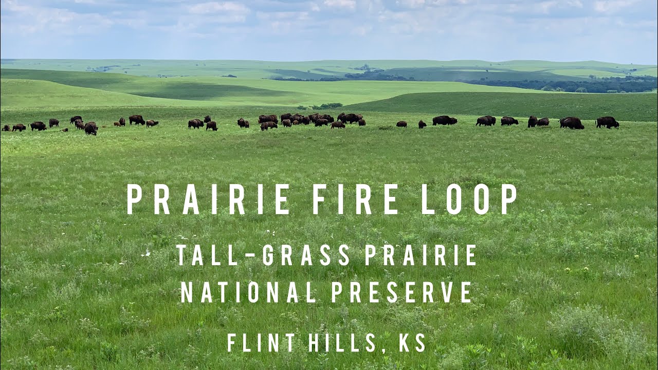 Tallgrass Prairie Fire