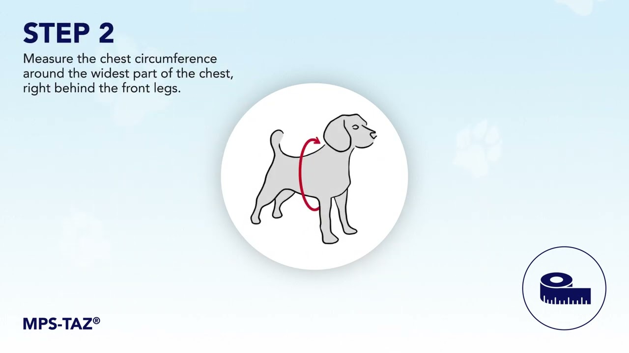 MPS MEASUREMENT VIDEO MPS TAZ SINGLE FRONT LEG SLEEVE 2021 V01 - YouTube