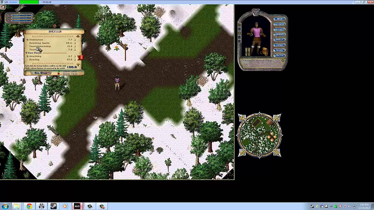 UO Forever - New Player Guide Part 5 - YouTube