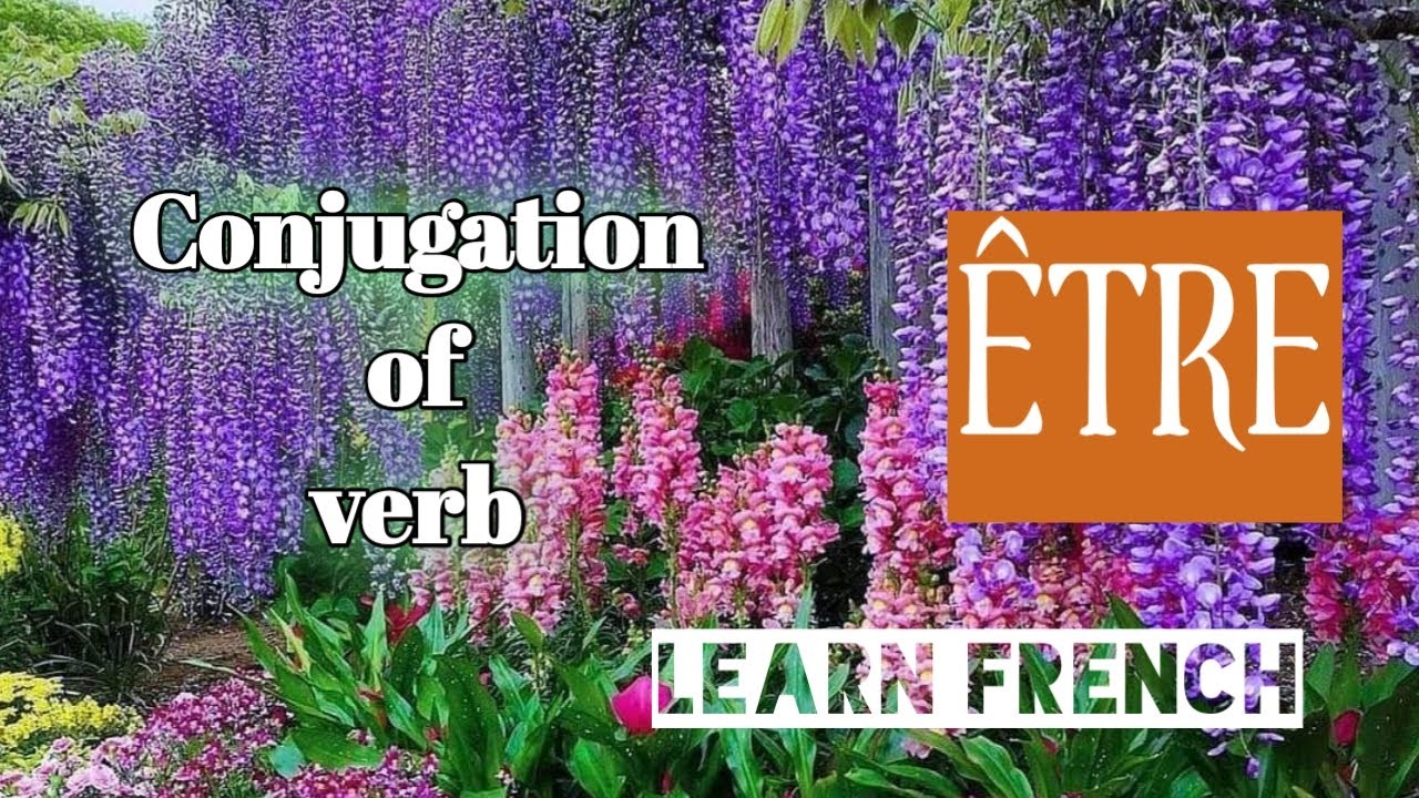 French lesson 17.1 conjugations/ conjugaison ||être in present tense ...