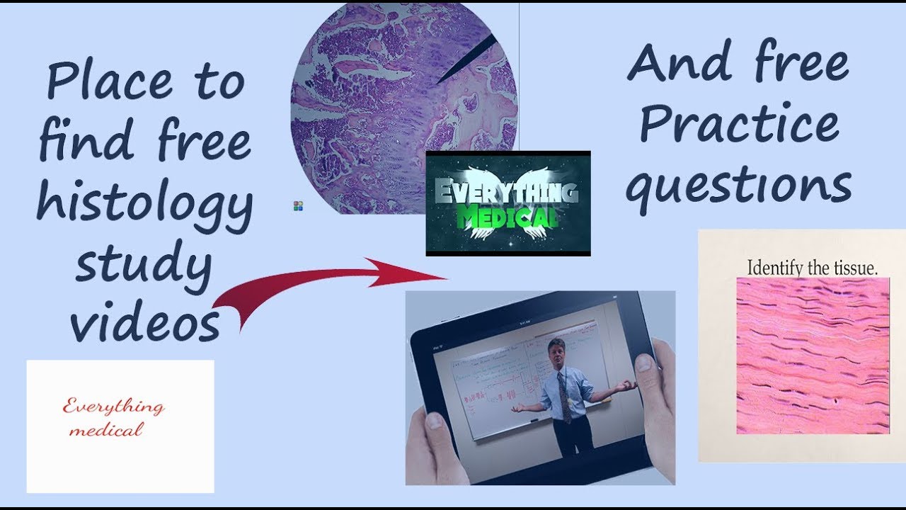 Tips for studying Histologyy and best Histology youtube channels - YouTube
