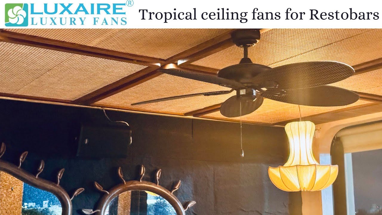 Looking for Vintage Fancy Fans for your new Resto Bar or Brewery? - YouTube