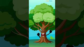 How does a Plant Poop? | #aumsum #kids #shorts #science