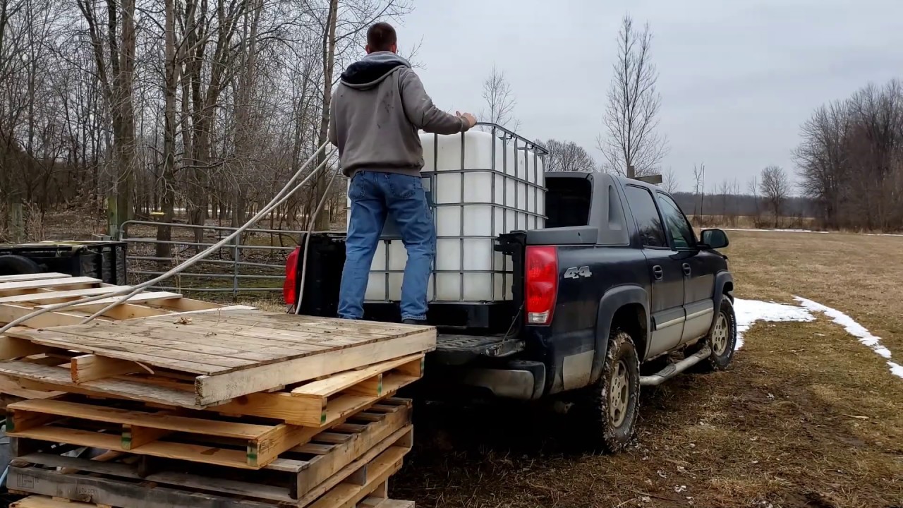 All About Collecting Sap For Maple Syrup - YouTube