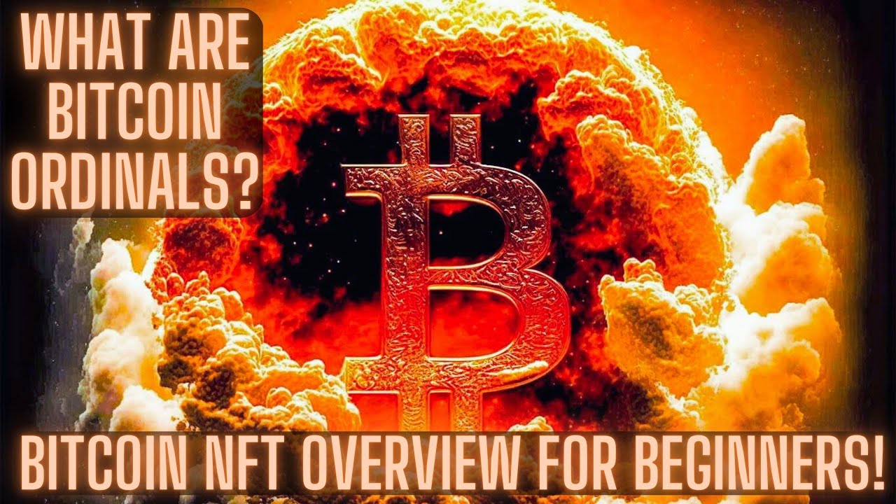 What Are Bitcoin Ordinals? Bitcoin NFT Overview For Beginners! - YouTube