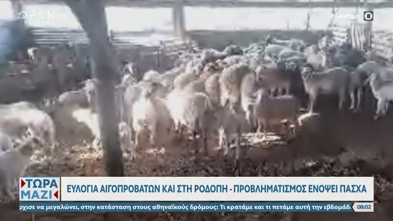 Ροδόπη: Με 175 ευρώ ανά ζώο αποζημιώνονται οι 74 κτηνοτρόφοι που ...