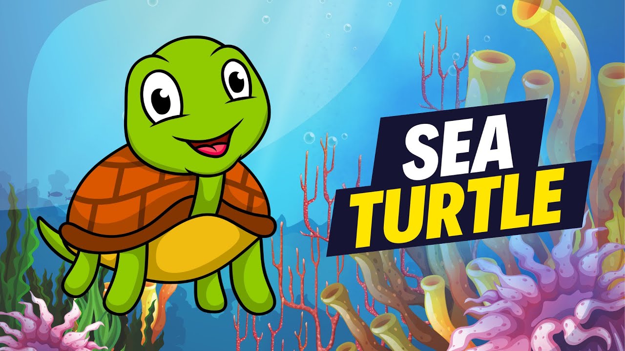 Discover AMAZING Sea Turtles Facts for Kids - YouTube