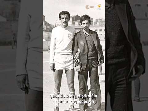 Vatan dediğin bu aslanlar