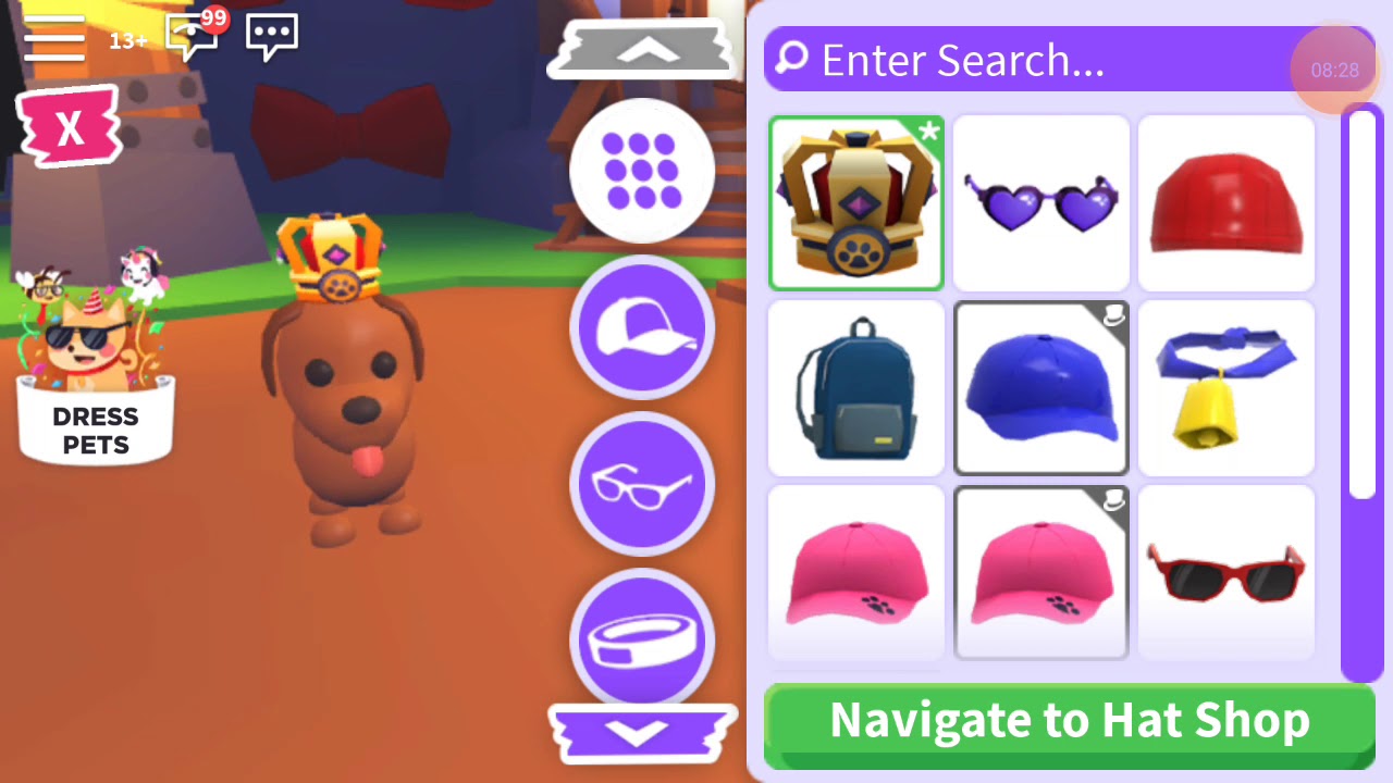 I dressed up my pets roblox adopt me - YouTube