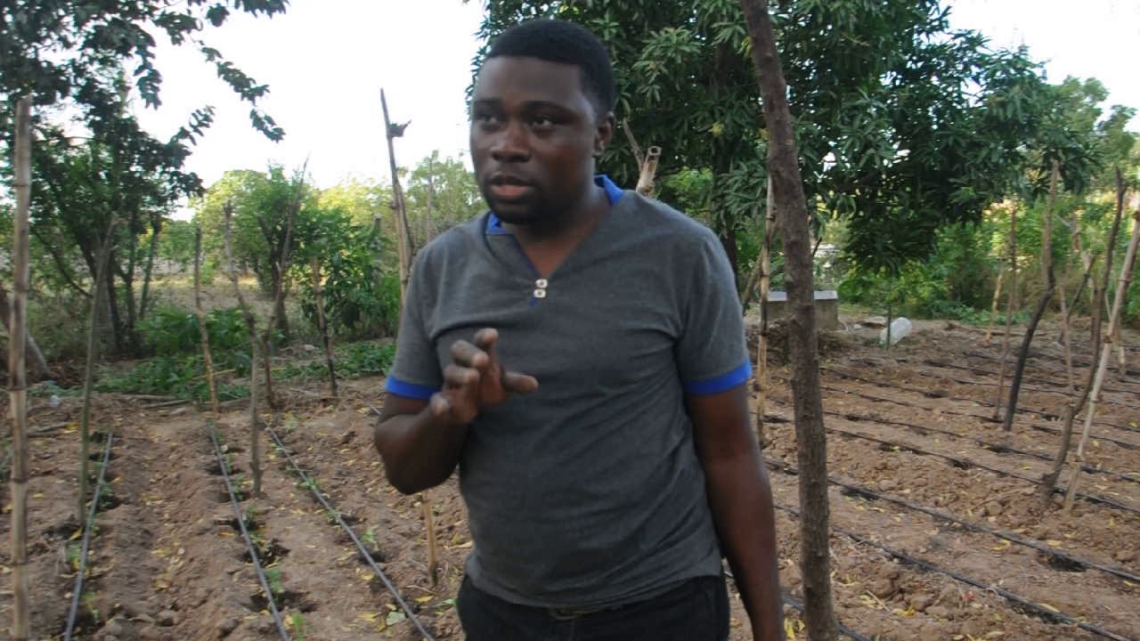 kilimo cha pilipili hoho stage 1 kangeta kilimo - YouTube