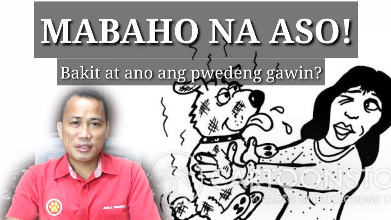 MABAHO NA ASO : BAKIT AT ANO ANG REMEDYO NITO! - YouTube