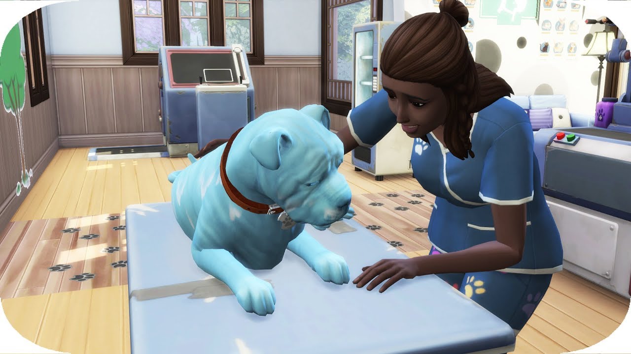 THE SIMS 4 | CATS AND DOGS | VET TECH REVIEWS VET SKILL + CAREER - YouTube