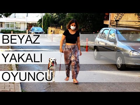 Türkiye'de Oyuncu Olmanın En Büyük Avantajı / Bırakmak