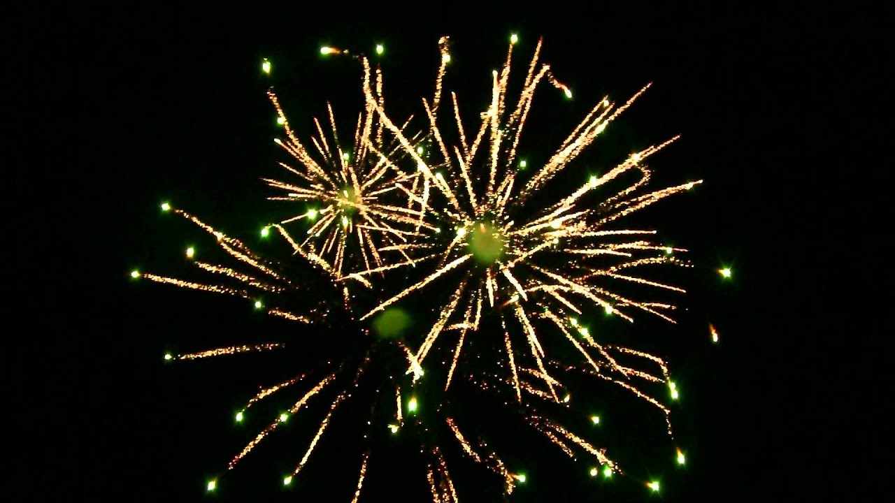 Panta 5 Inch Shell 3 Maal Golden Wave To Green to Swimming ...