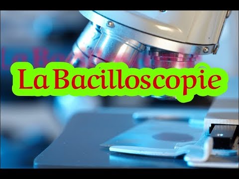 La bacilloscopie, examen directe des crachats à la recherche de BK ...