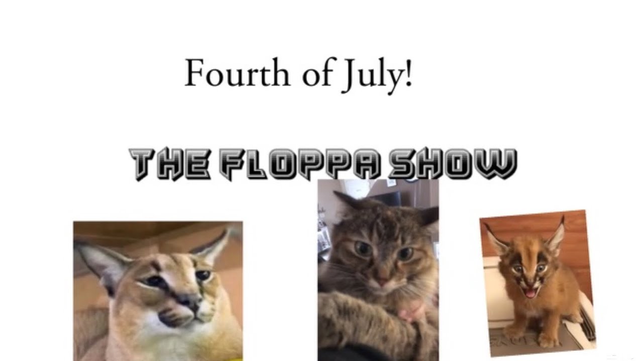 The floppa show episode 6: The 4th of July celebration - YouTube