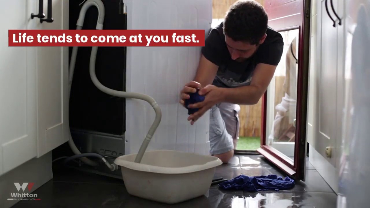 Mesa Plumber | Drain Cleaning | Plumbing Reviews for Whitton Plumbing ...