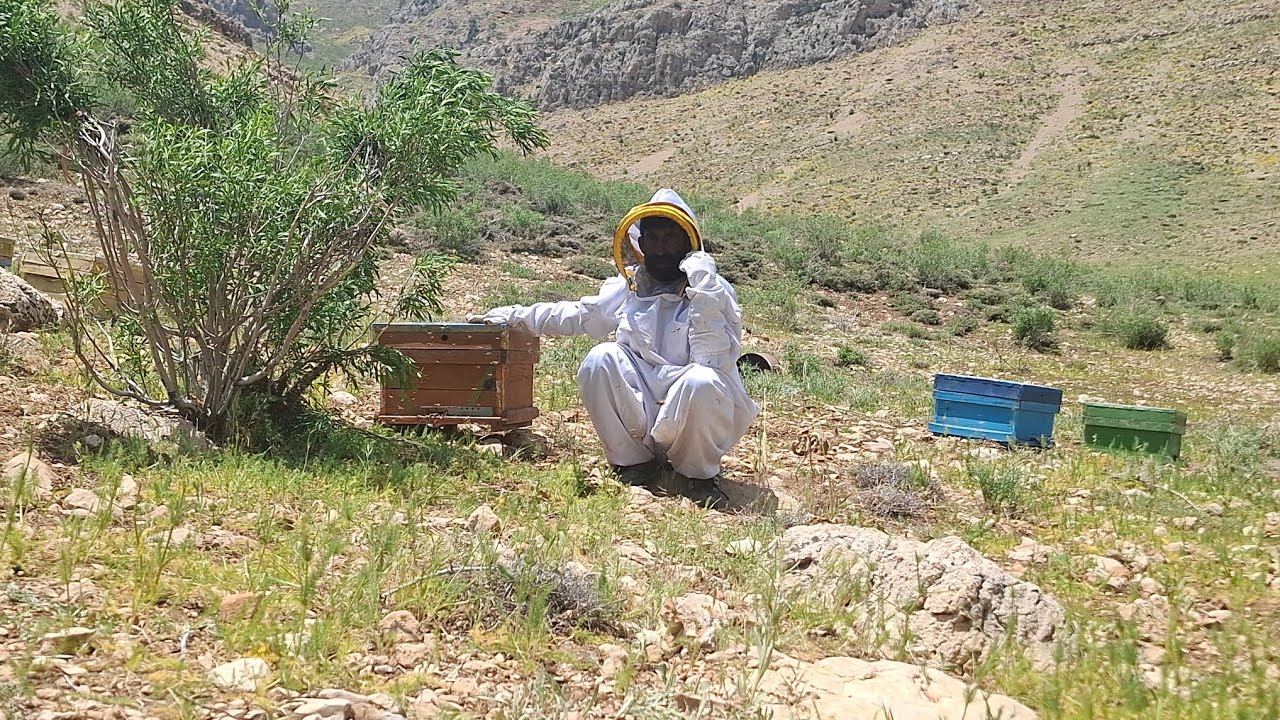 Nomadic Beekeeping: Discovering Traditional Methods of Beekeeping - YouTube