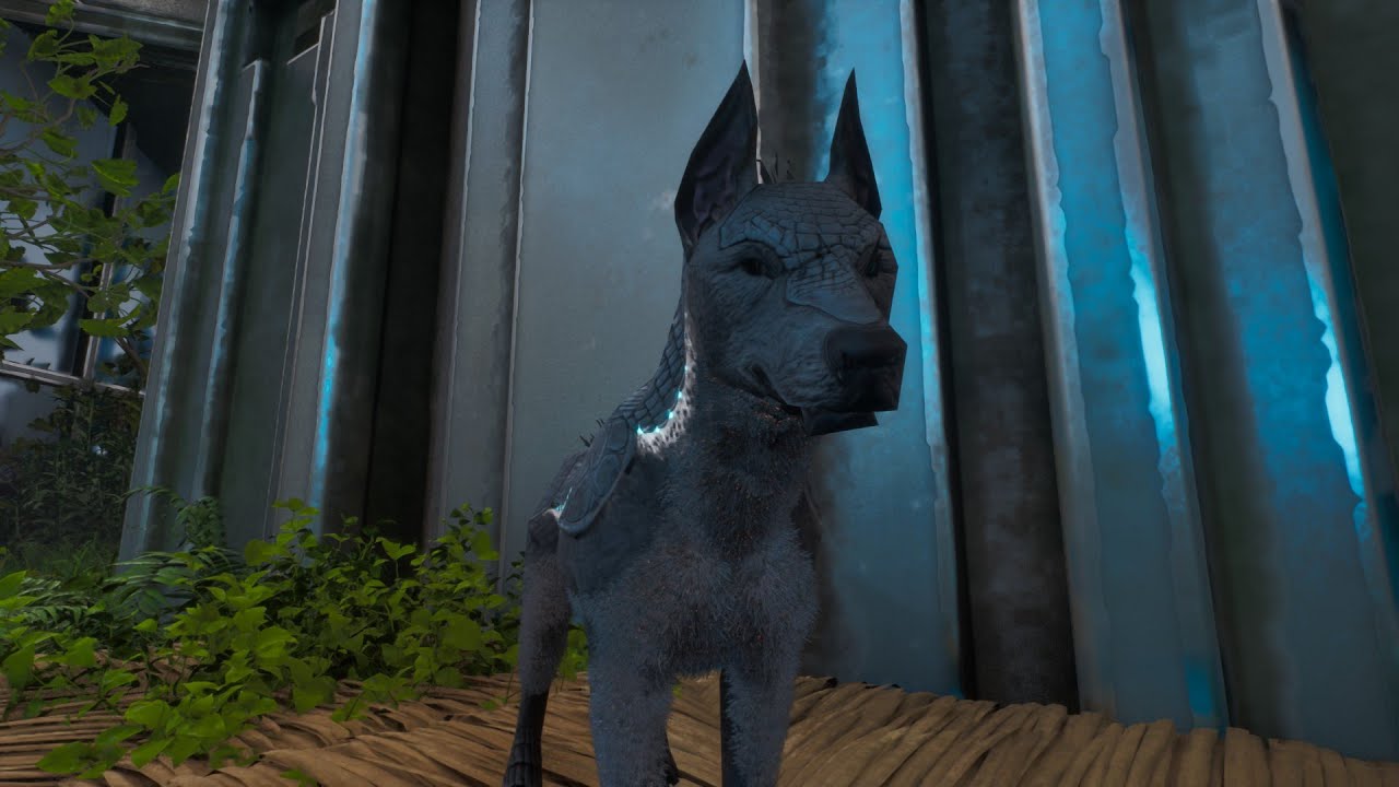 Taming the Brand New Armadoggo and Starting out on Extinction! ARK ...