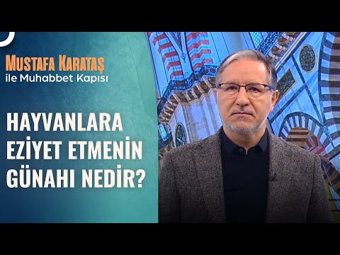 Hayvanlara Eziyet Edenlerin Sonu Ne Olacak? | Prof. Dr. Mustafa Karataş ile Muhabbet Kapısı
