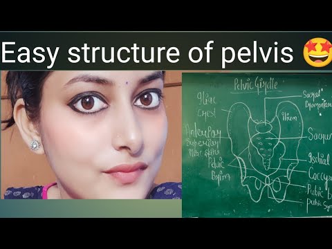 How to draw easy pelvis 🤩@Nursingbasiceducation - YouTube