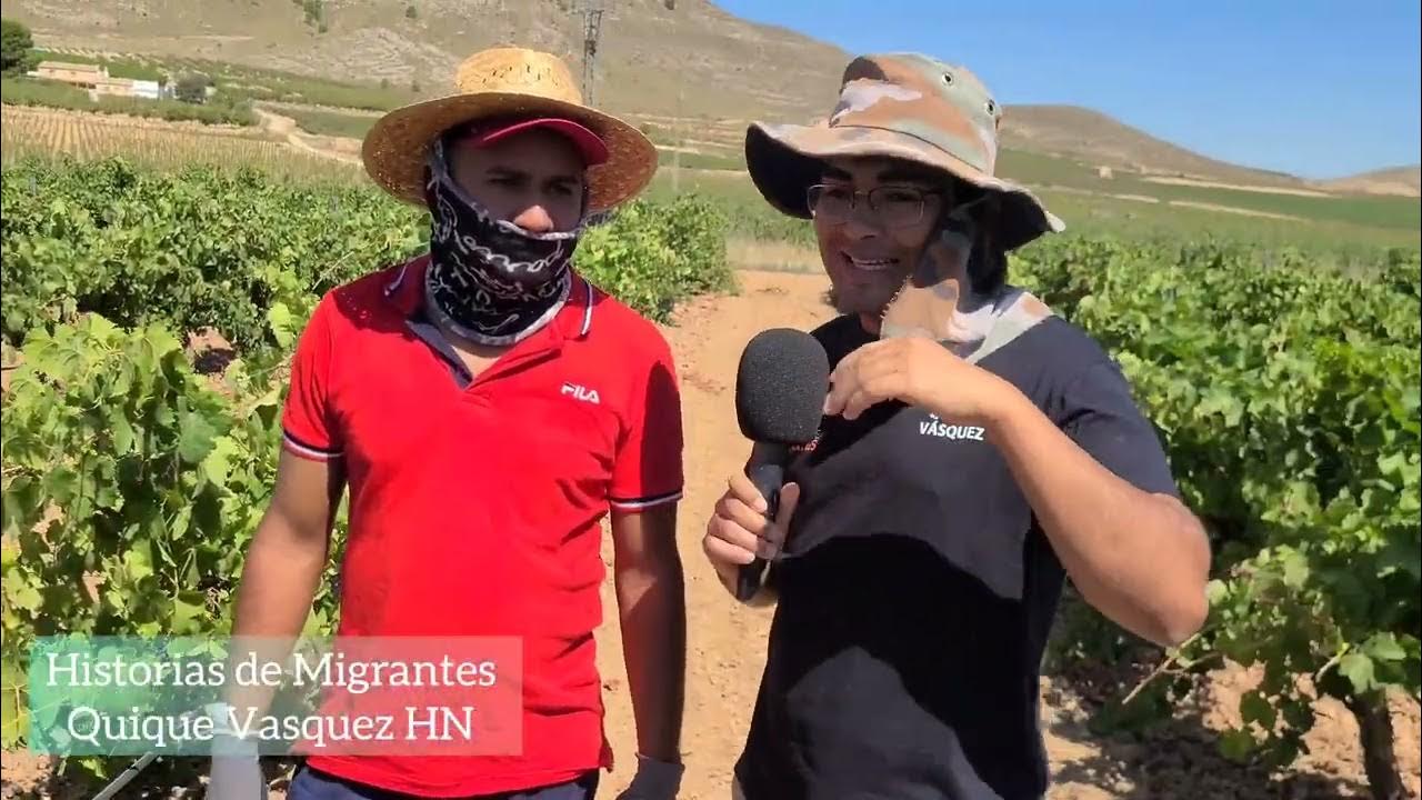 Así es el trabajo de Campo para mujeres y hombres inmigrantes en España ...