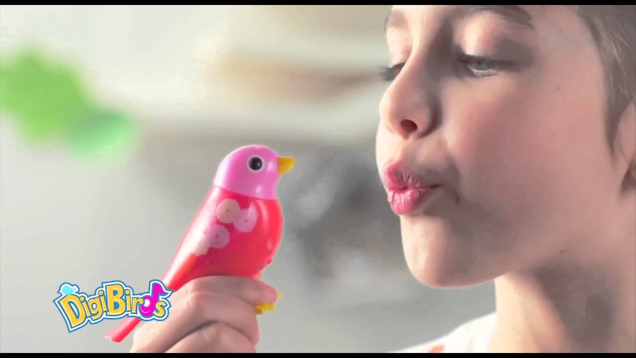 digi birds at Australian Geographic Shops - YouTube