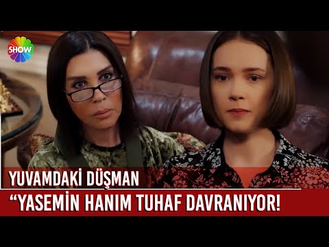 Ceren, Olcay'la konuşarak ortalığı karıştırmaya çalışıyor! | Yuvamdaki Düşman 2.Bölüm