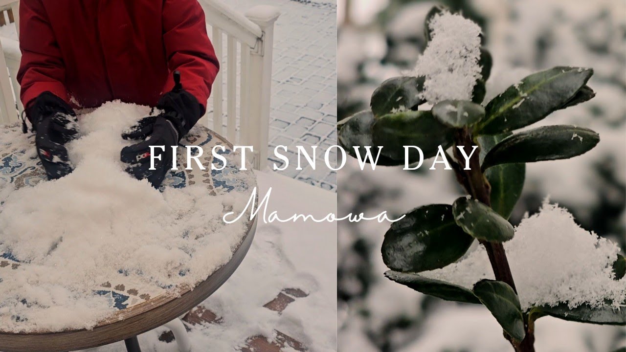 [SUB] ️☃️ The first snow day | A cozy winter day - YouTube