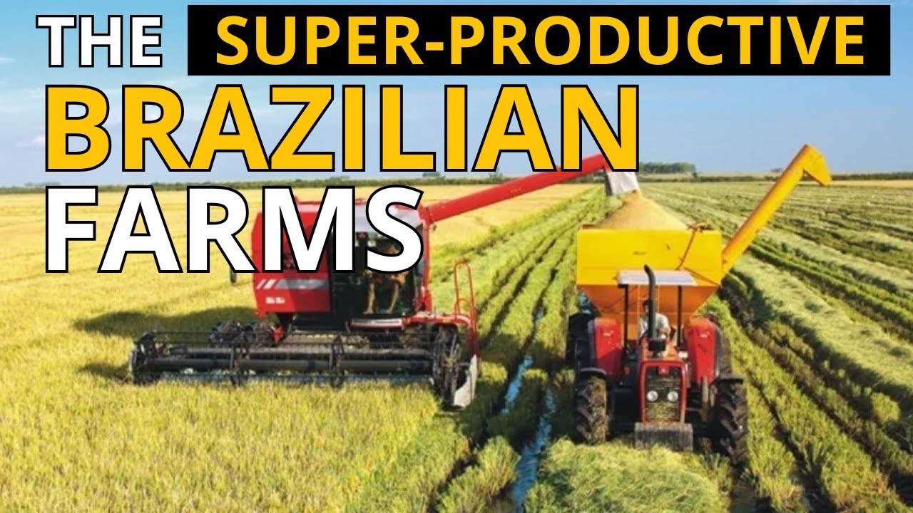 THE SUPER PRODUCTIVE BRAZILIAN FARMS - YouTube