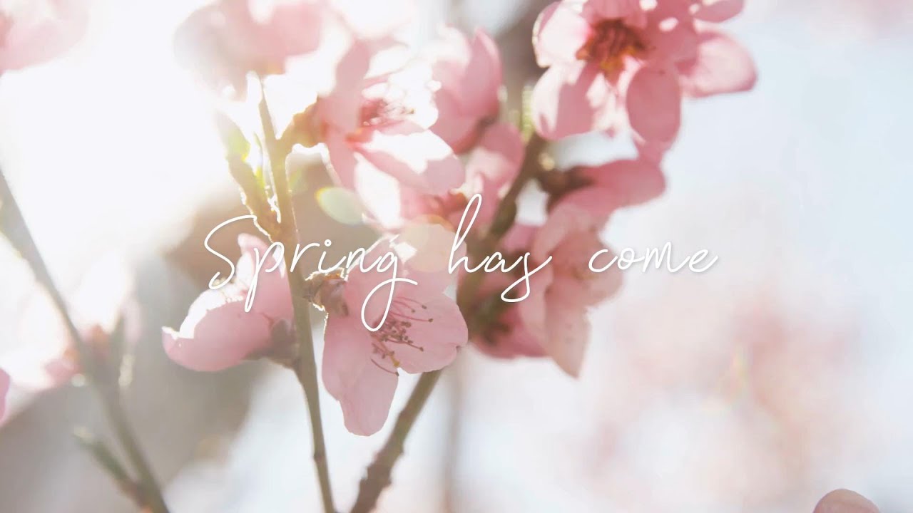 Spring Jazz piano｜relaxing, peaceful｜Spring has come - YouTube