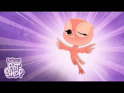 LPS: Özel Dünyamız Türkiye - 'Bale Yarışması!' 👯