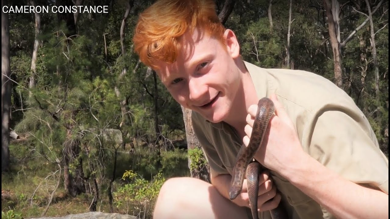 CAMERON CONSTANCE SHOWREEL - YouTube